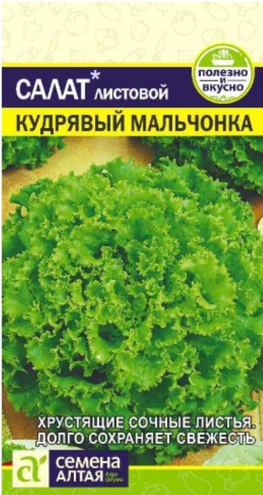 Семена Салат Кудрявый мальчонка полукочанный 0.5г Поздние (Семена Алтая)