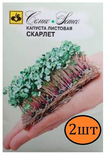Семена Капуста Скарлет микрозелень "Семко" 2г 2шт