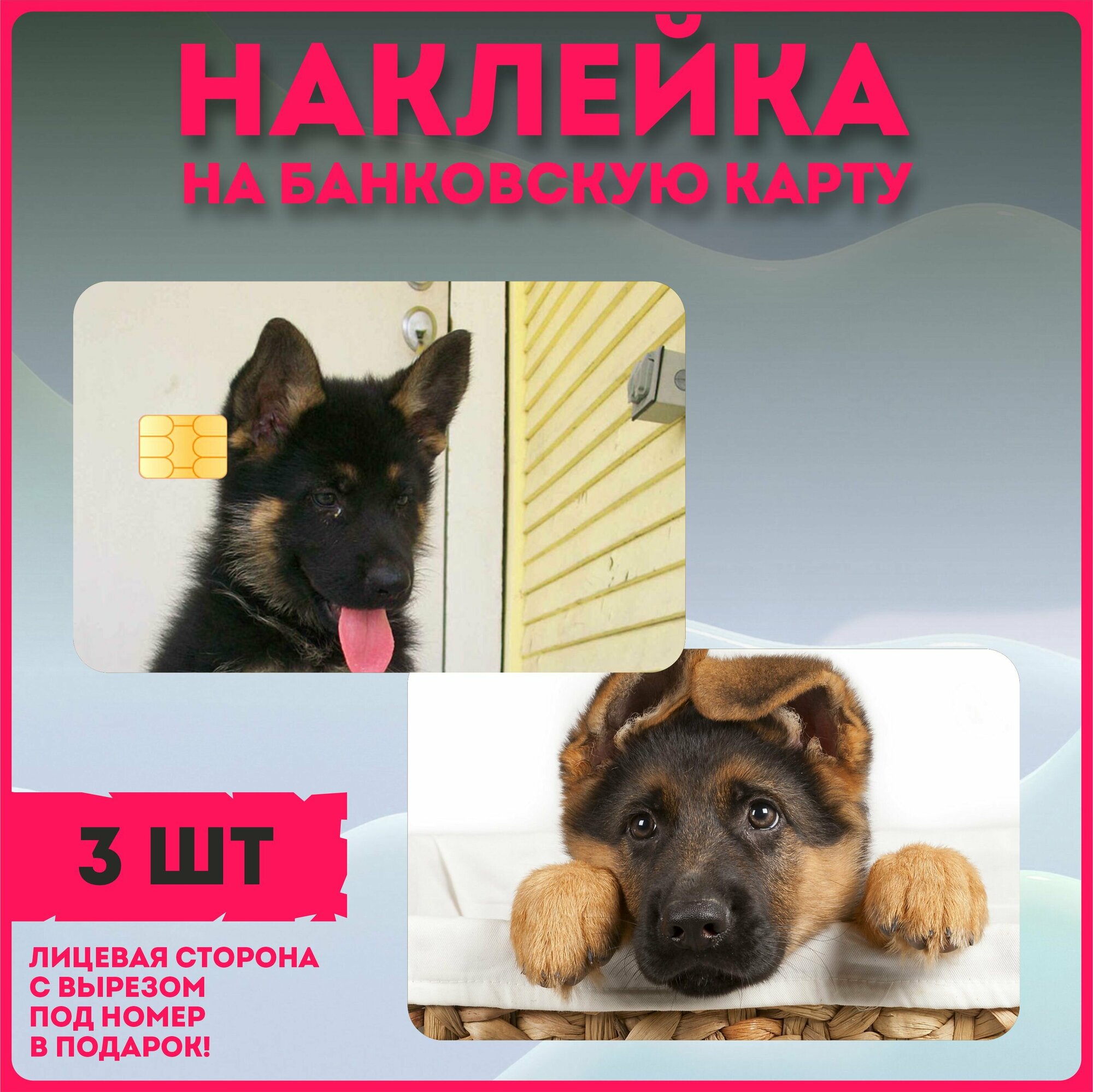 Наклейка на банковскую карту немецкая овчарка
