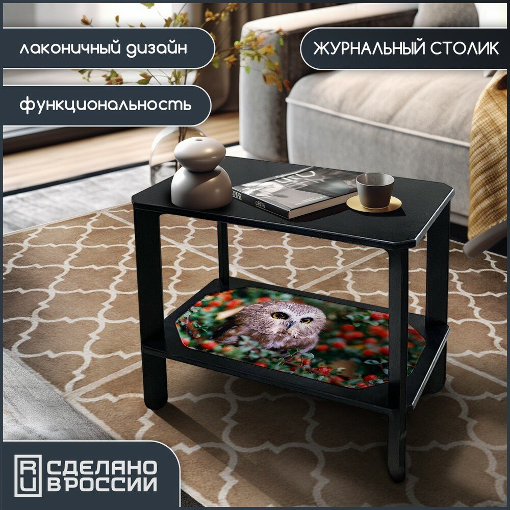 Прямоугольный черный журнальный столик с принтом "Животные Птица (Сова, Сыч, цветы милота, Подарок для мамы, бабушки сестры, подруге) - 333"