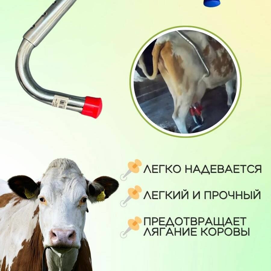 Антибрык для КРС — фото 1