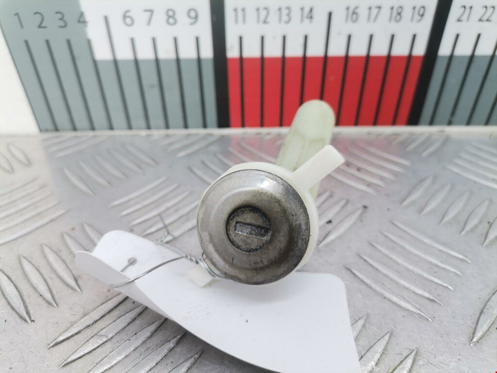 Личинка дверного замка Renault Scenic 1 7701474906 арт. 1900913