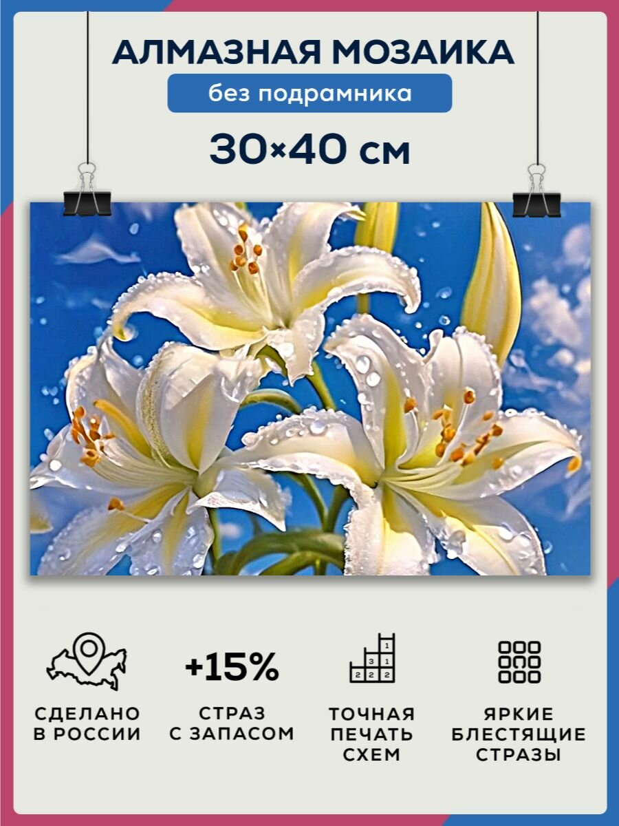Алмазная мозаика 30x40 Лилии в воде без подрамника