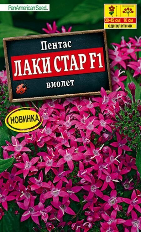 Семена растения пентас лаки стар f1 виолет