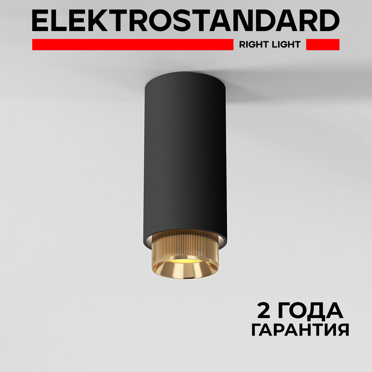 Накладной светильник Elektrostandard Nubis 25012/01 GU10 чёрный/золото IP20