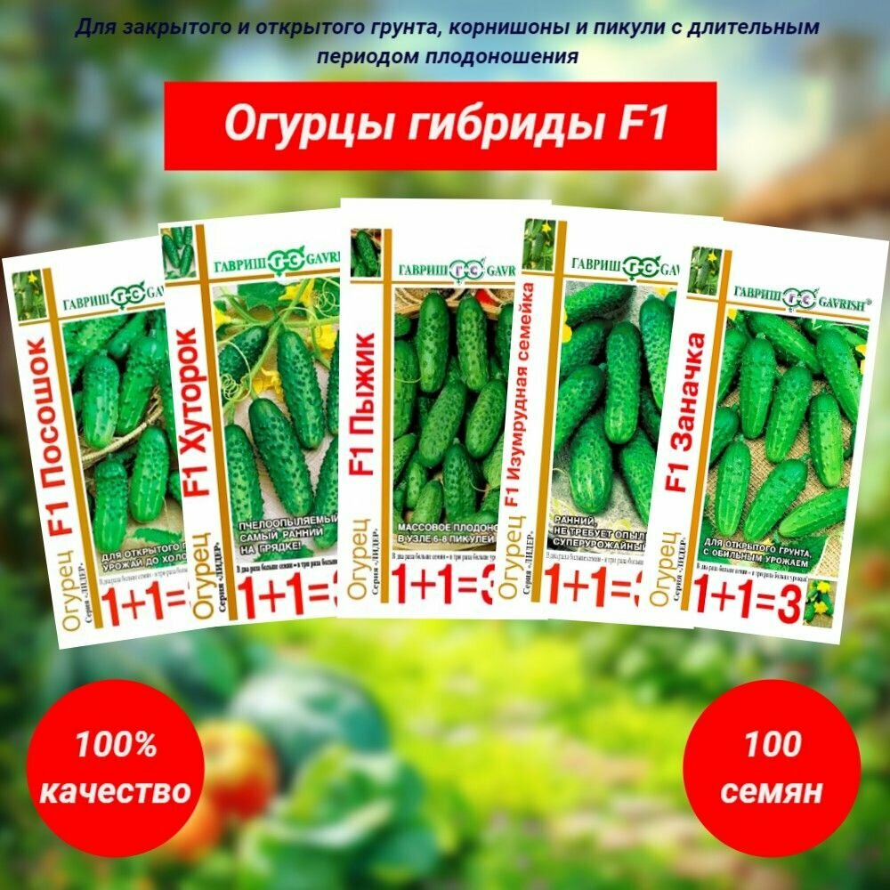 Набор семян огурцы корнишоны F1. 5 пачек по 20 семян. Агрофирма Гавриш