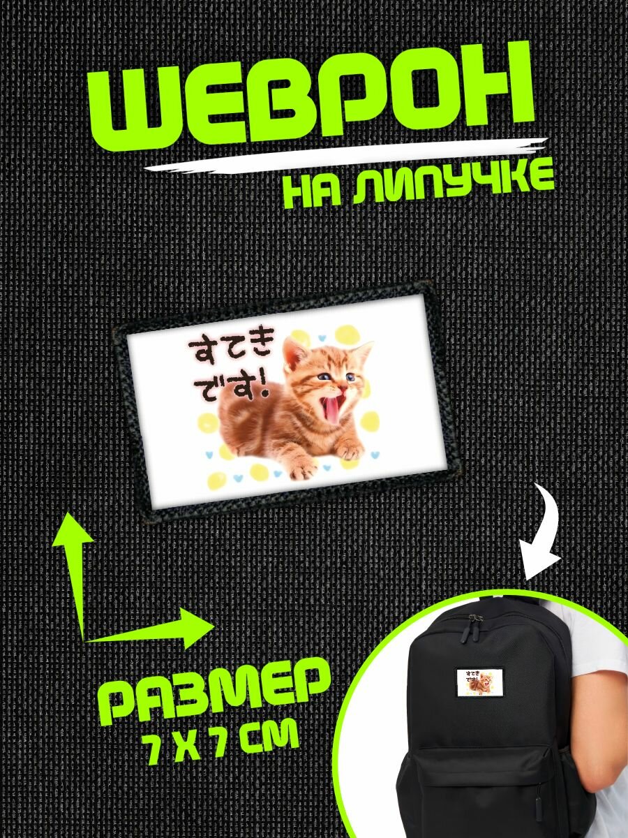 Шеврон на липучке нашивка Котик