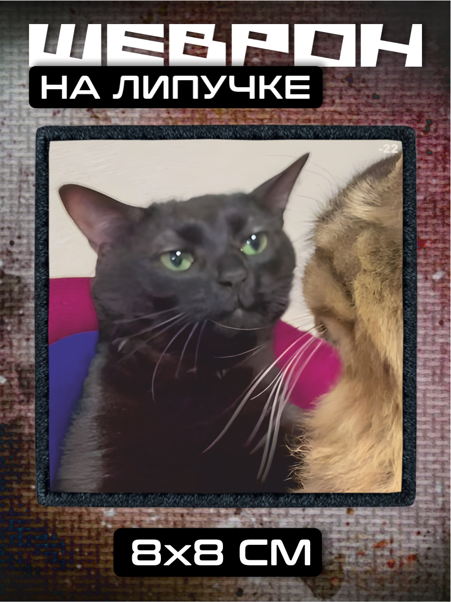 Шеврон на липучке кот мем