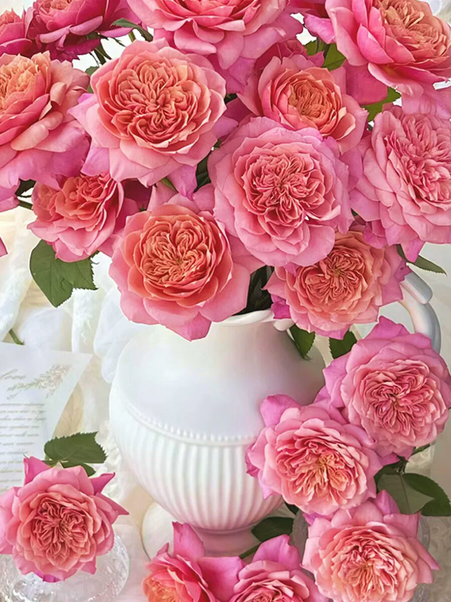 Роза японская Мияби Ча Miyabi Cha, ЗКС, 30-40 см, многолетняя, 500 г