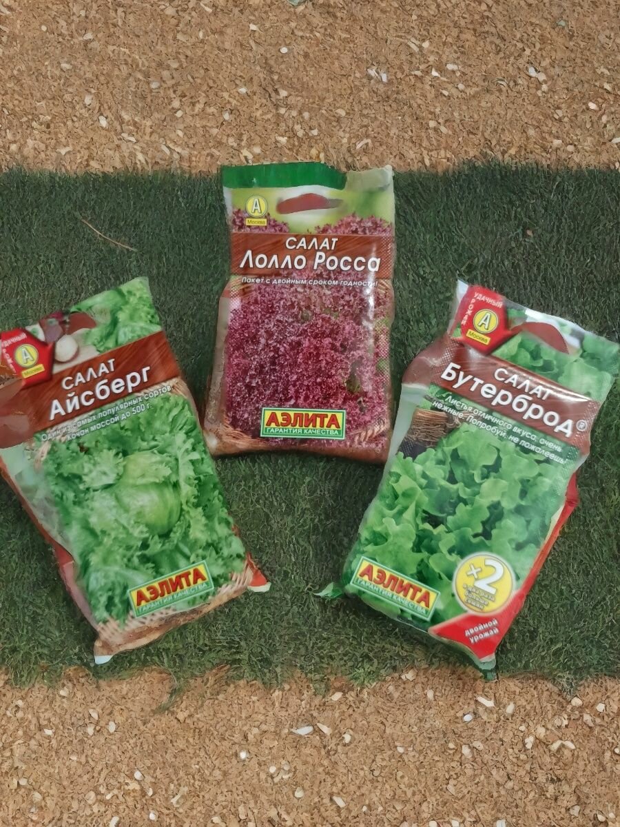 Набор семян салата Агрофирмы Аэлита 3 сорта. Бутерброд 1г, Лолло Росса 0.5г , Айсберг 0.5г.