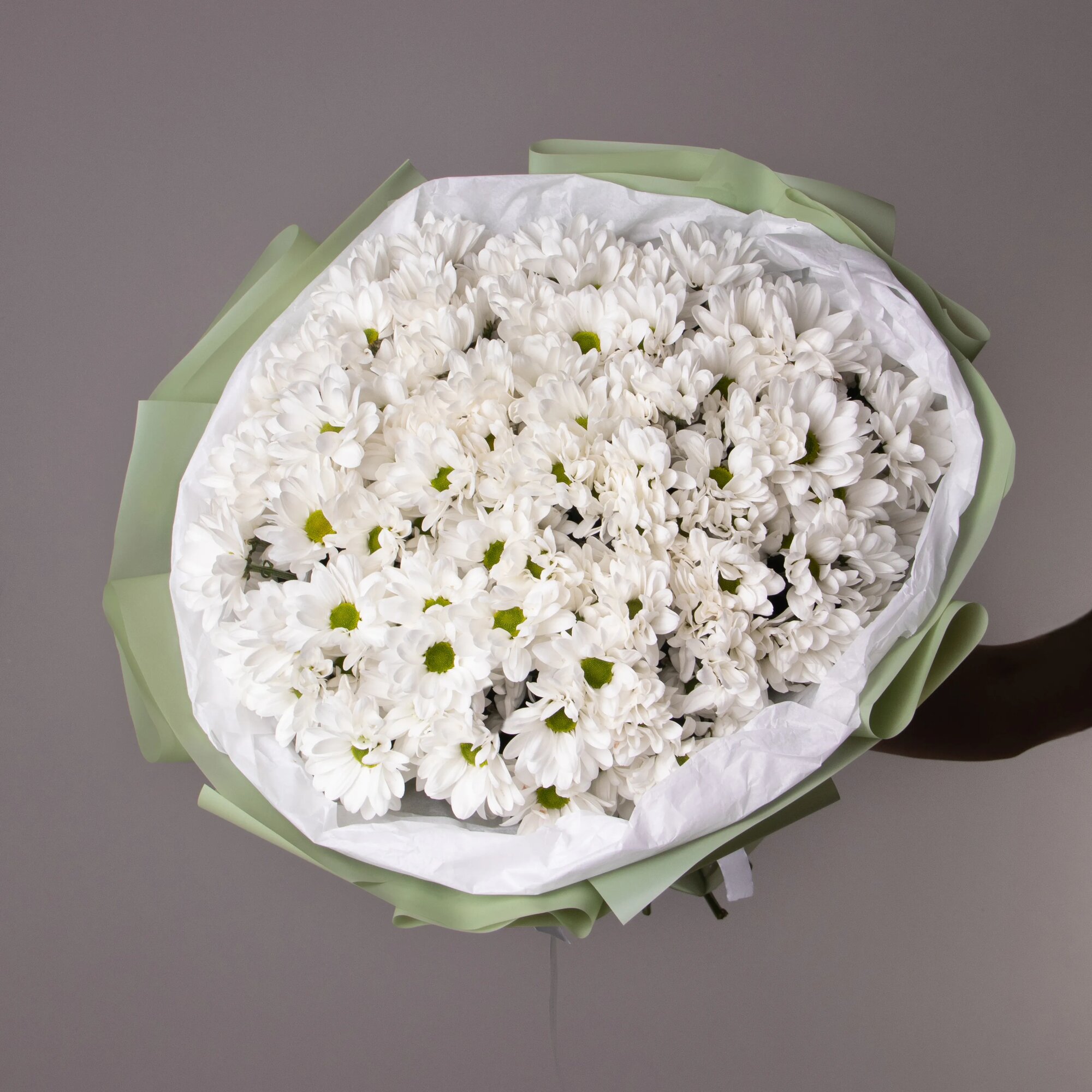 Букет Хризантема кустовая "Шик" 15 шт Высота 70 см в коробке и аквабоксе от "Простоцветы"