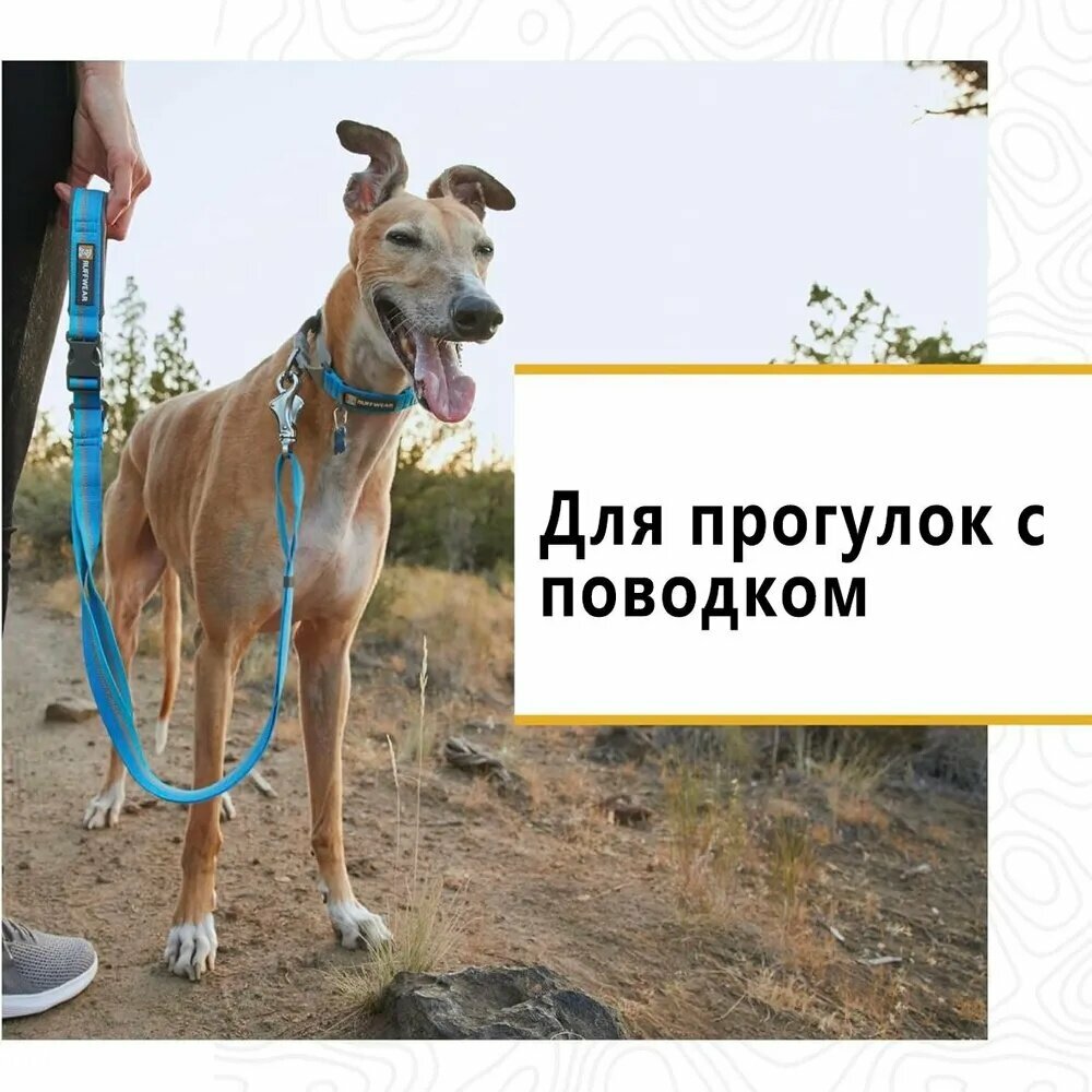 Ruffwear Ошейники для выгула собак