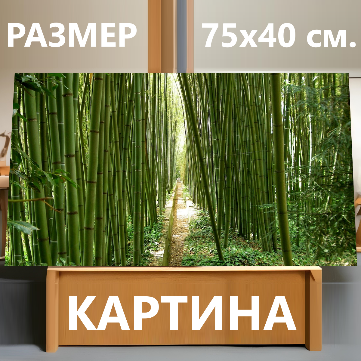 Картина на холсте "Бамбук, сад, японский сад" на подрамнике 75х40 см. для интерьера