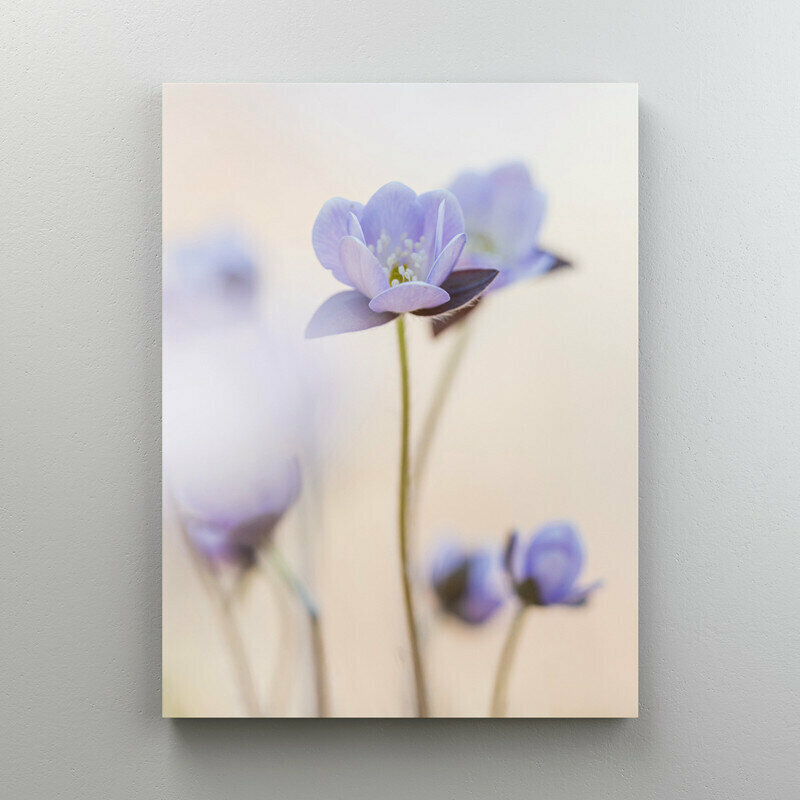 Интерьерная картина на холсте "Полянка с голубыми цветами" размер 22x30 см