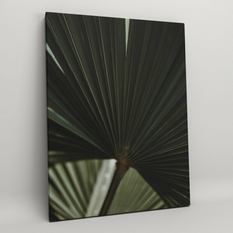 Картина на холсте (интерьерный постер) "Зеленый лист пальмы - растения", с деревянным подрамником, размер 22x30 см