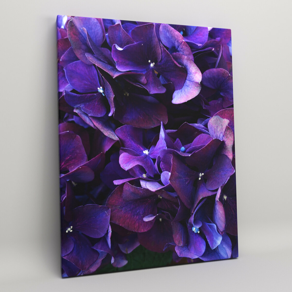 Картина на холсте (интерьерный постер) "Фиолетовая гортензия" цветы и растения, с деревянным подрамником, размер 30x40 см