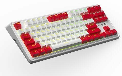 Клавиатура проводная+беспроводная ARDOR GAMING Hunter AG-FL-H87Hush-W-HS-G-WL