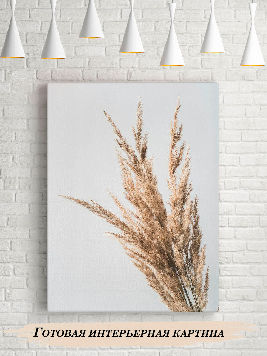 Картины для интерьера 40х60 Сухоцвет трава белый фон