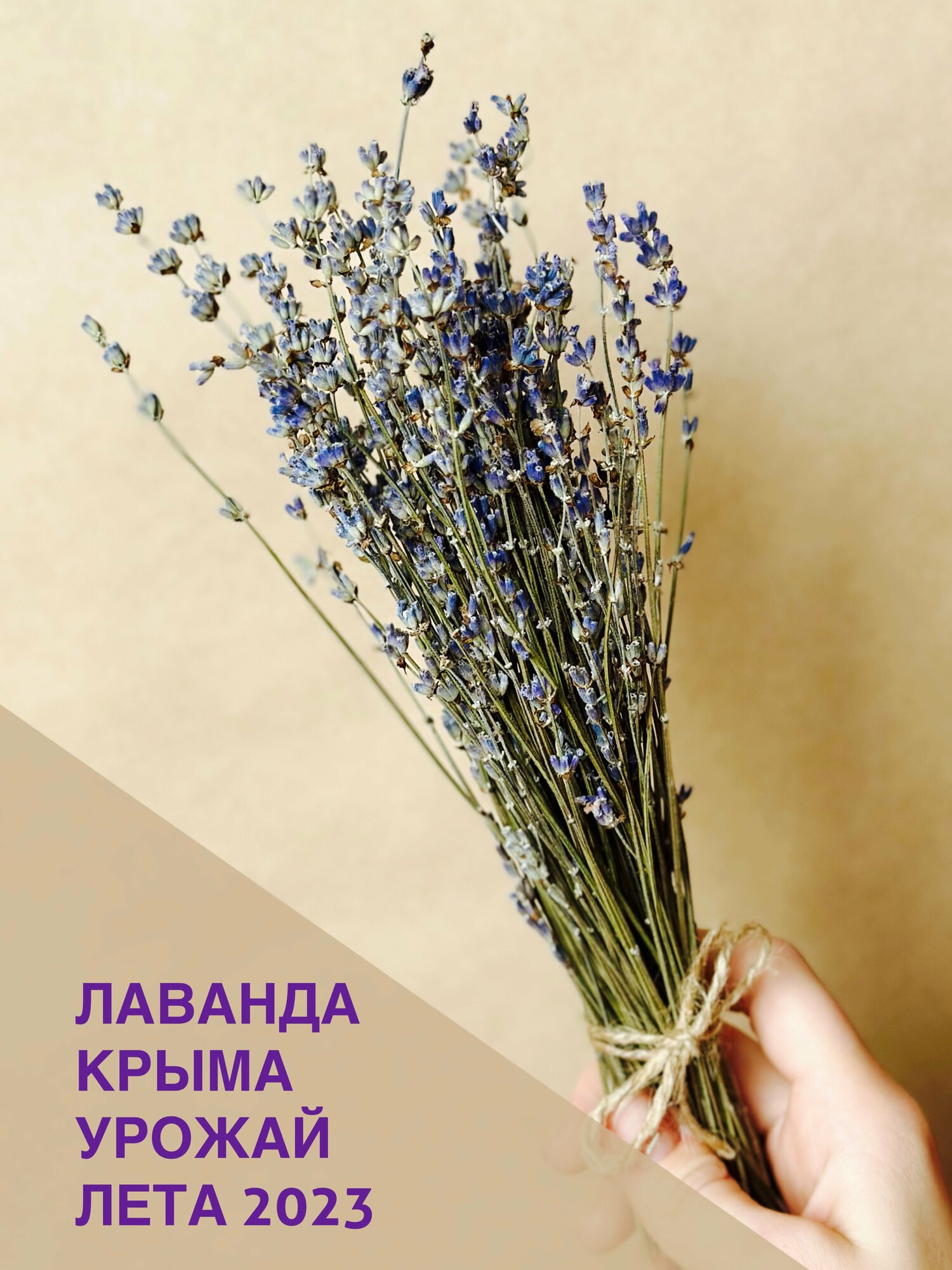 Маленькие букетики из сухоцветов — купить по низкой цене на Яндекс Маркете