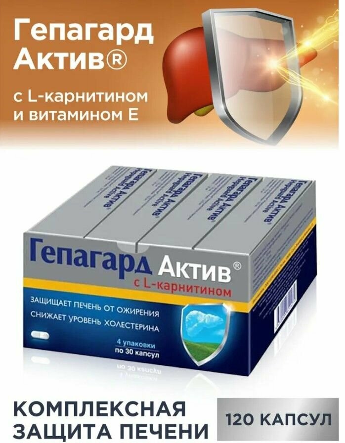 Гепагард Актив, капсулы, №30 х 4 шт (N120)