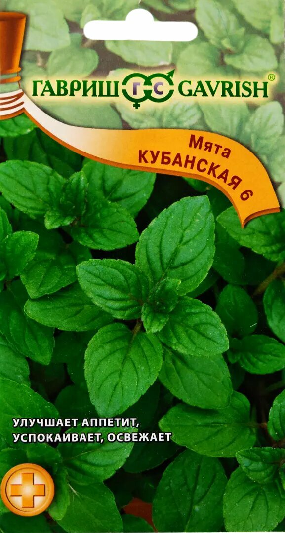 Купить саженцы краснодарского чая — купить по низкой цене на Яндекс Маркете