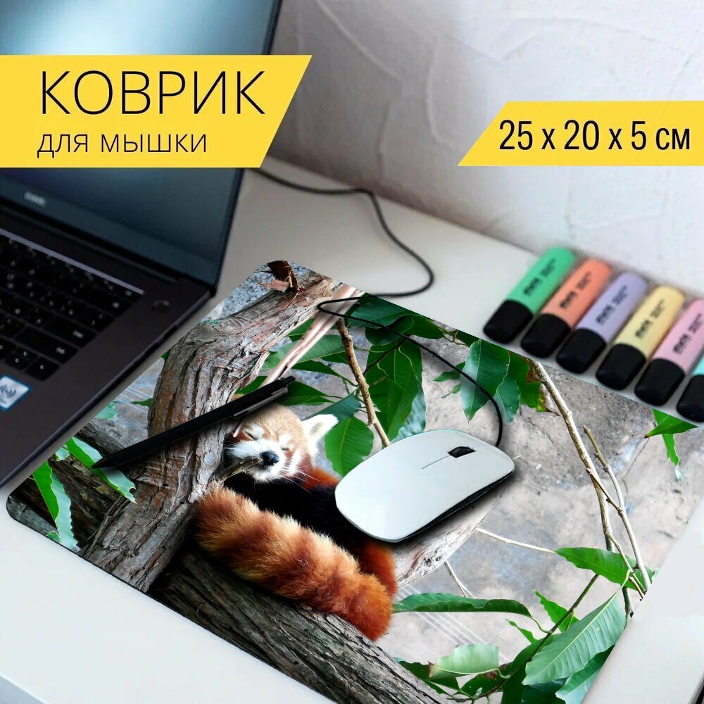 Коврик для мыши с принтом "Красная панда, милые красные панды, милый" 25x20см.