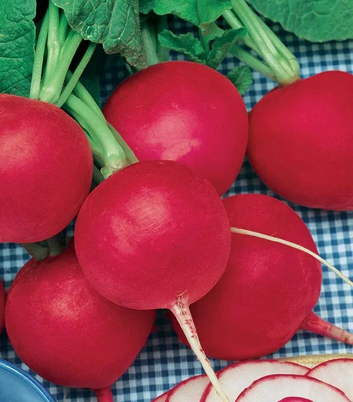 Коллекционные семена редиса Кримсон гиант глоб