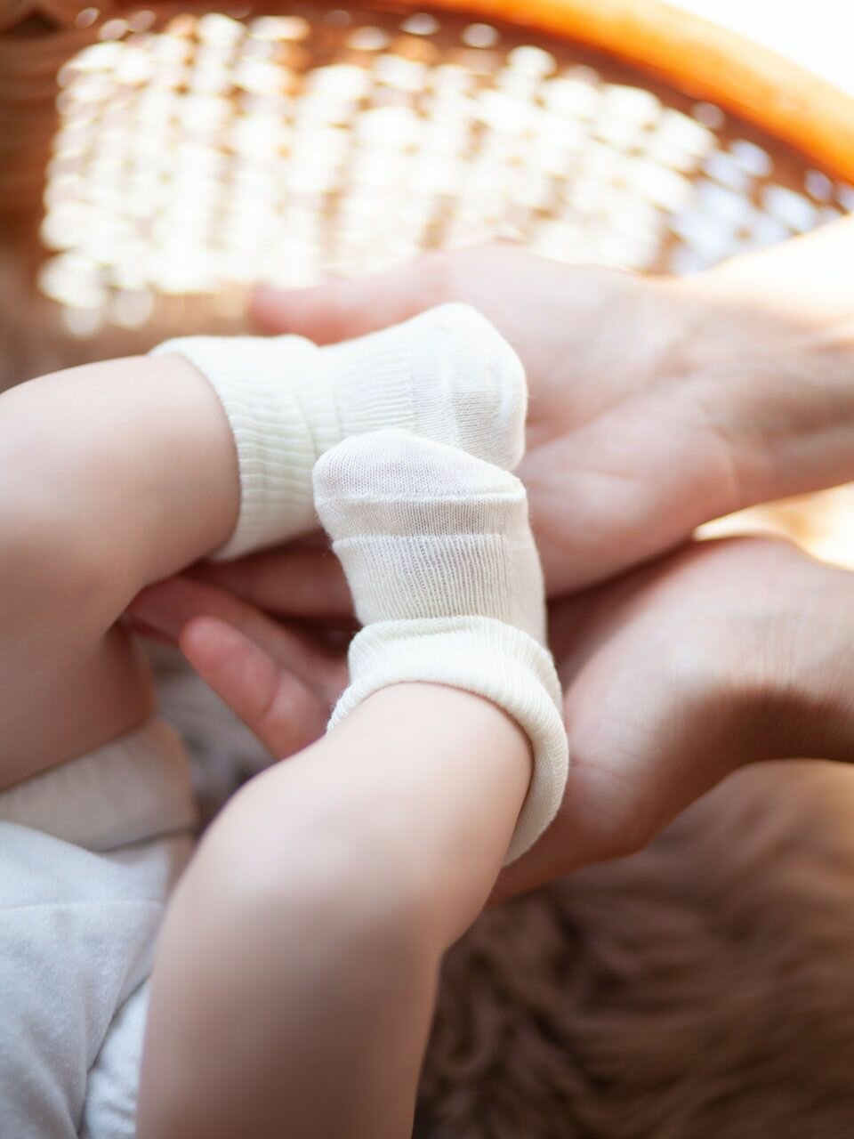 Носки Базовая коллекция