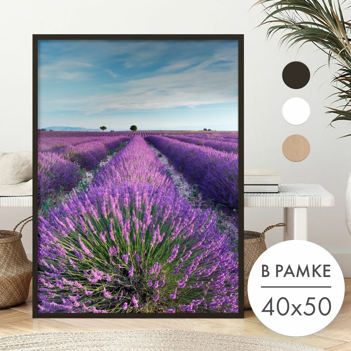Постер 40х50 В рамке "Лавандовое поле" для интерьера