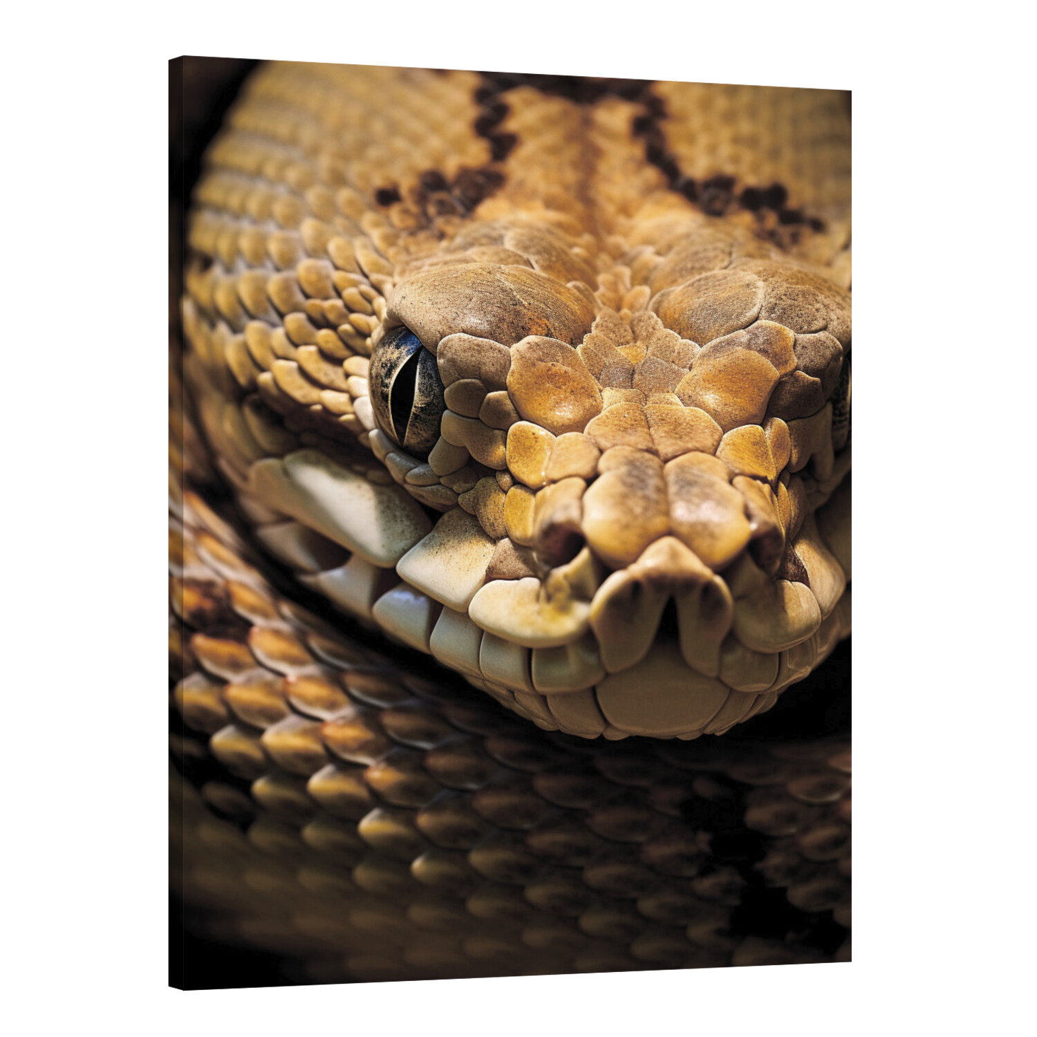 Интерьерная картина 50х70 "Змеиные ноты"