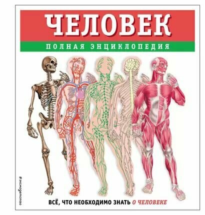 Школьник: Человек. Полная энциклопедия (Школьник Ю. К.) Эксмо 2024