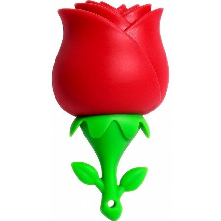 USB Flash SmartBuy Wild Series Роза 64GB