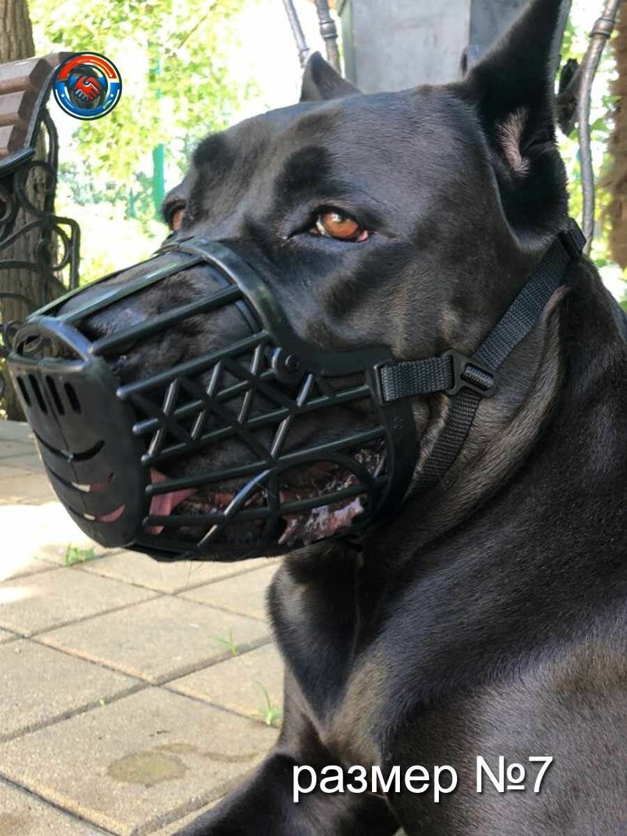 Пластиковый намордник для крупных собак размер 7 — лёгкий, вентилируемый намордник для безопасных прогулок и дрессировки