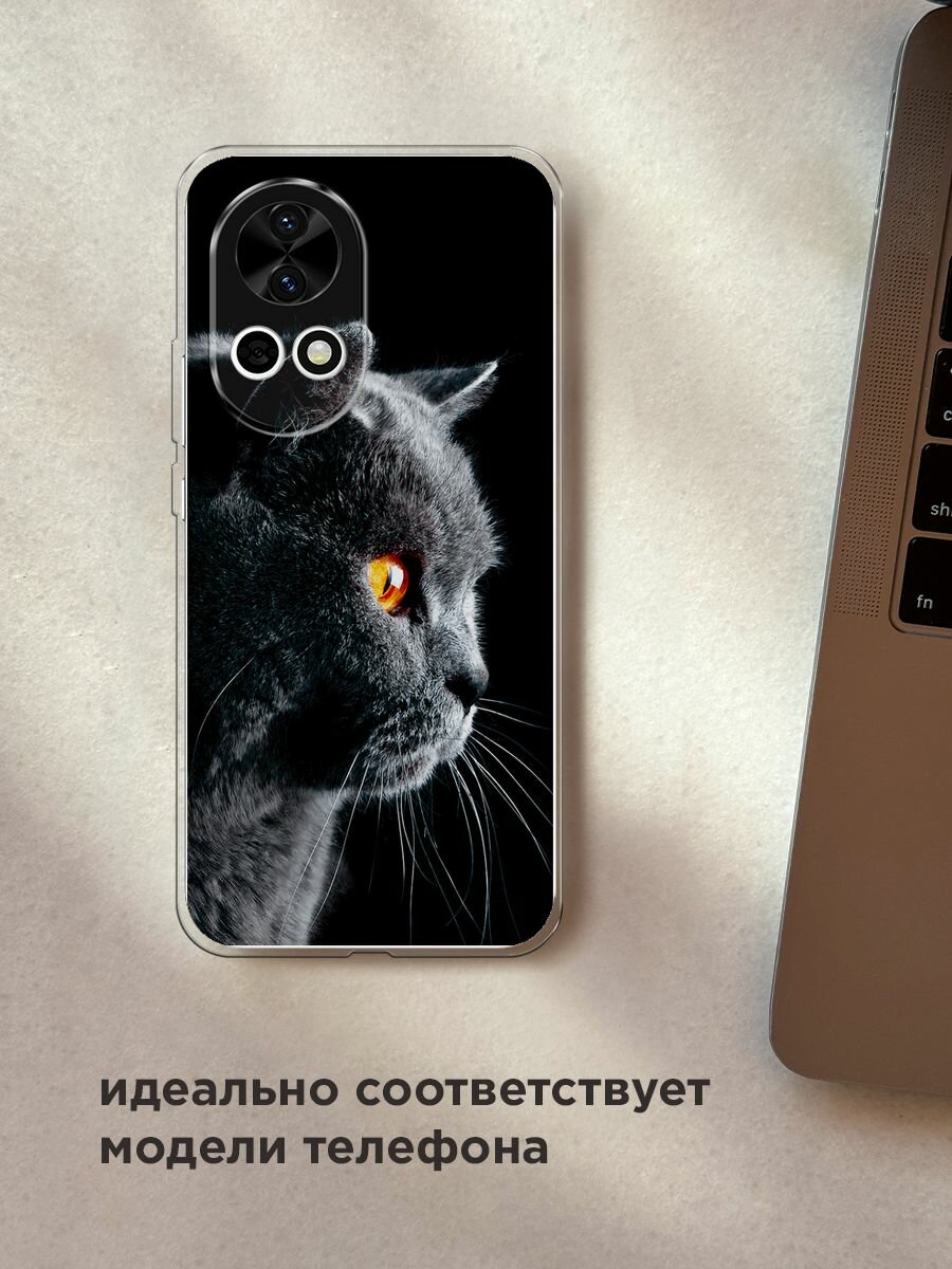Чехол на Huawei Nova 12/Nova13 / Хуавей Нова 12/Нова 13 с принтом "Благородный кот британец" — фото 1