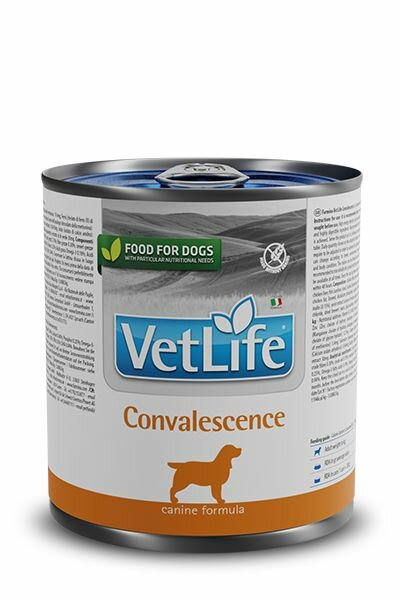 Фармина VET LIFE NATURAL DIET DOG CONVALESCENCE Консервы д/собак в период восстановления 300г (2789)