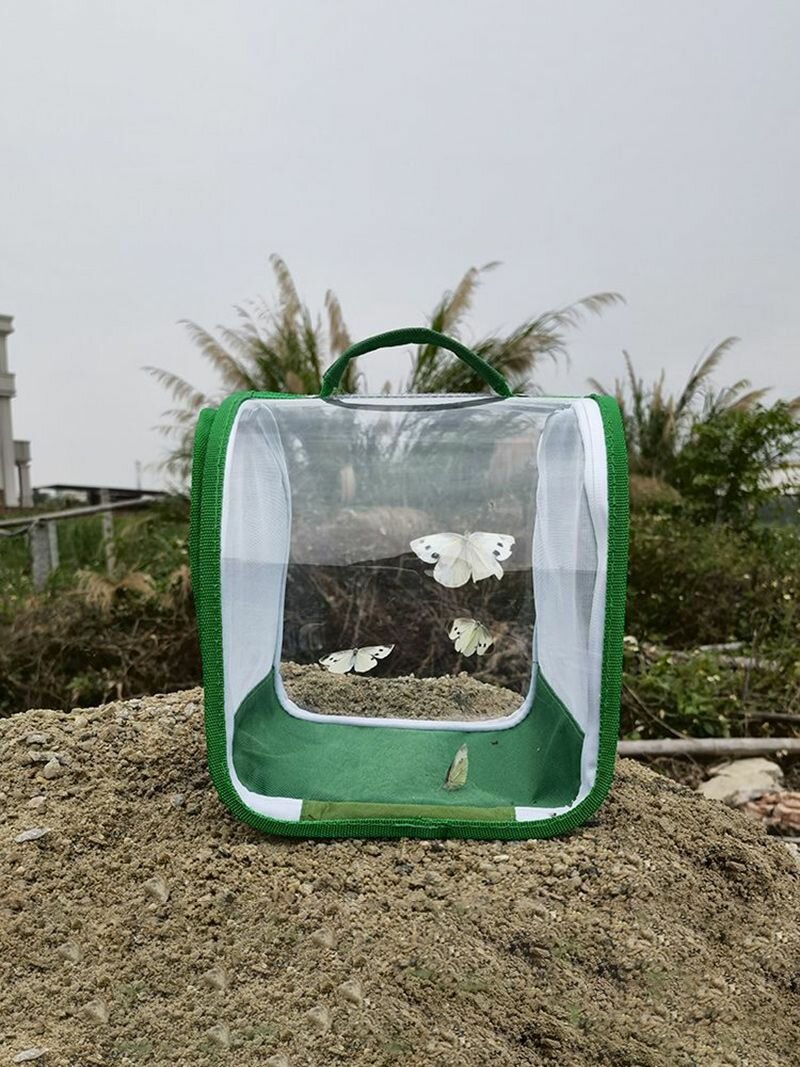 Ферма Бабочек Для Выращивания