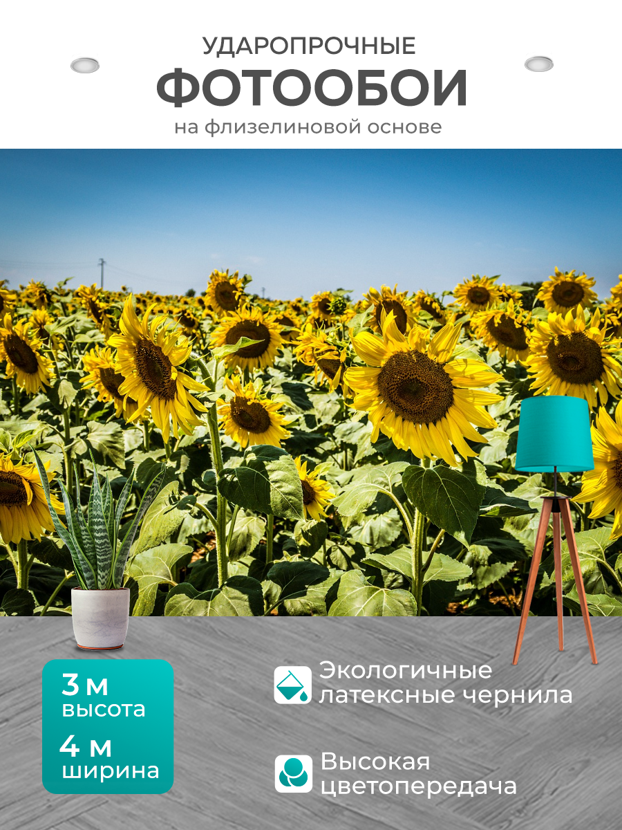 Фотообои моющиеся ударопрочные "Подсолнухи, цветы, подсолнечник" 400x300 см. флизелиновые на стену