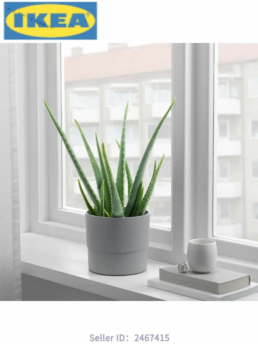 IKEA Кашпо 3.1 л, 15 см, 1 шт, цвет светло-серый