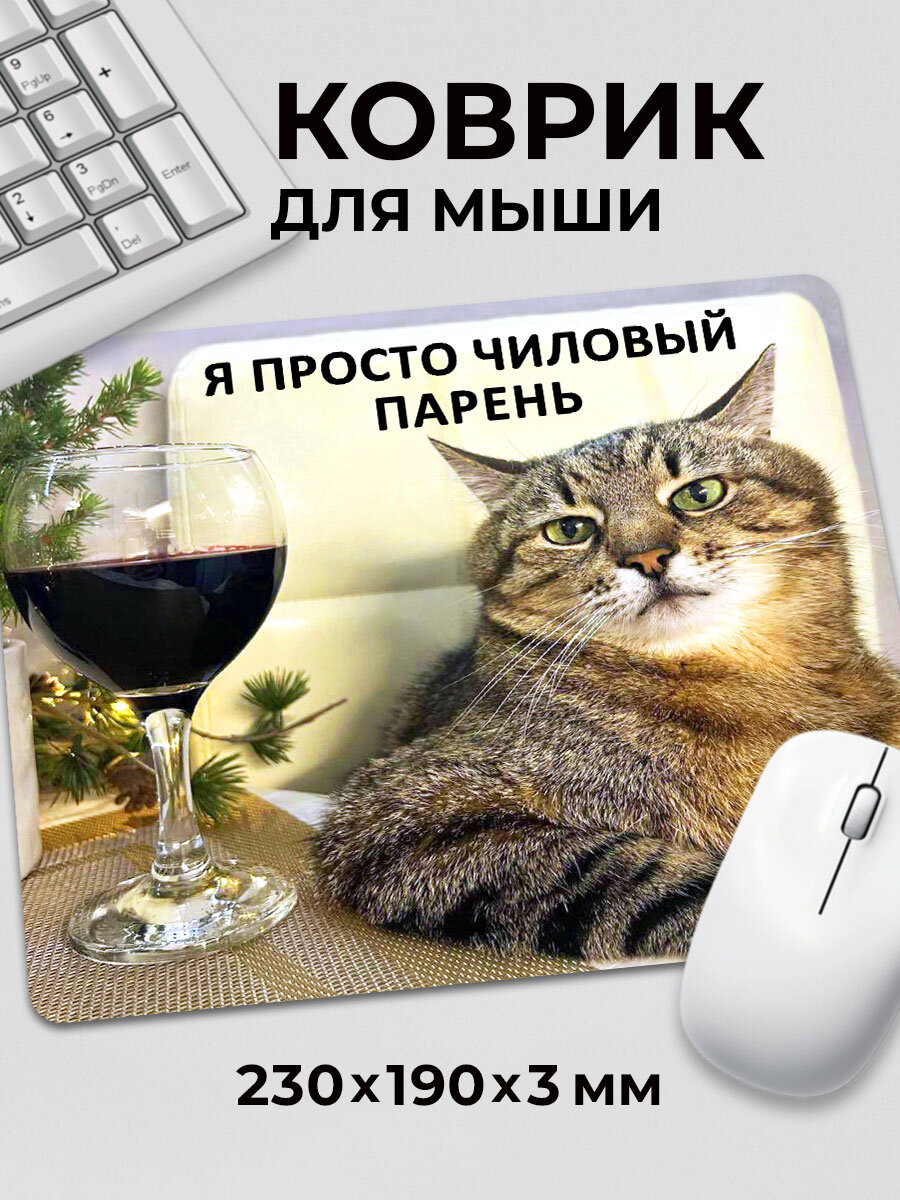 Коврик для мышки с приколом мем кот Я просто чиловый парень