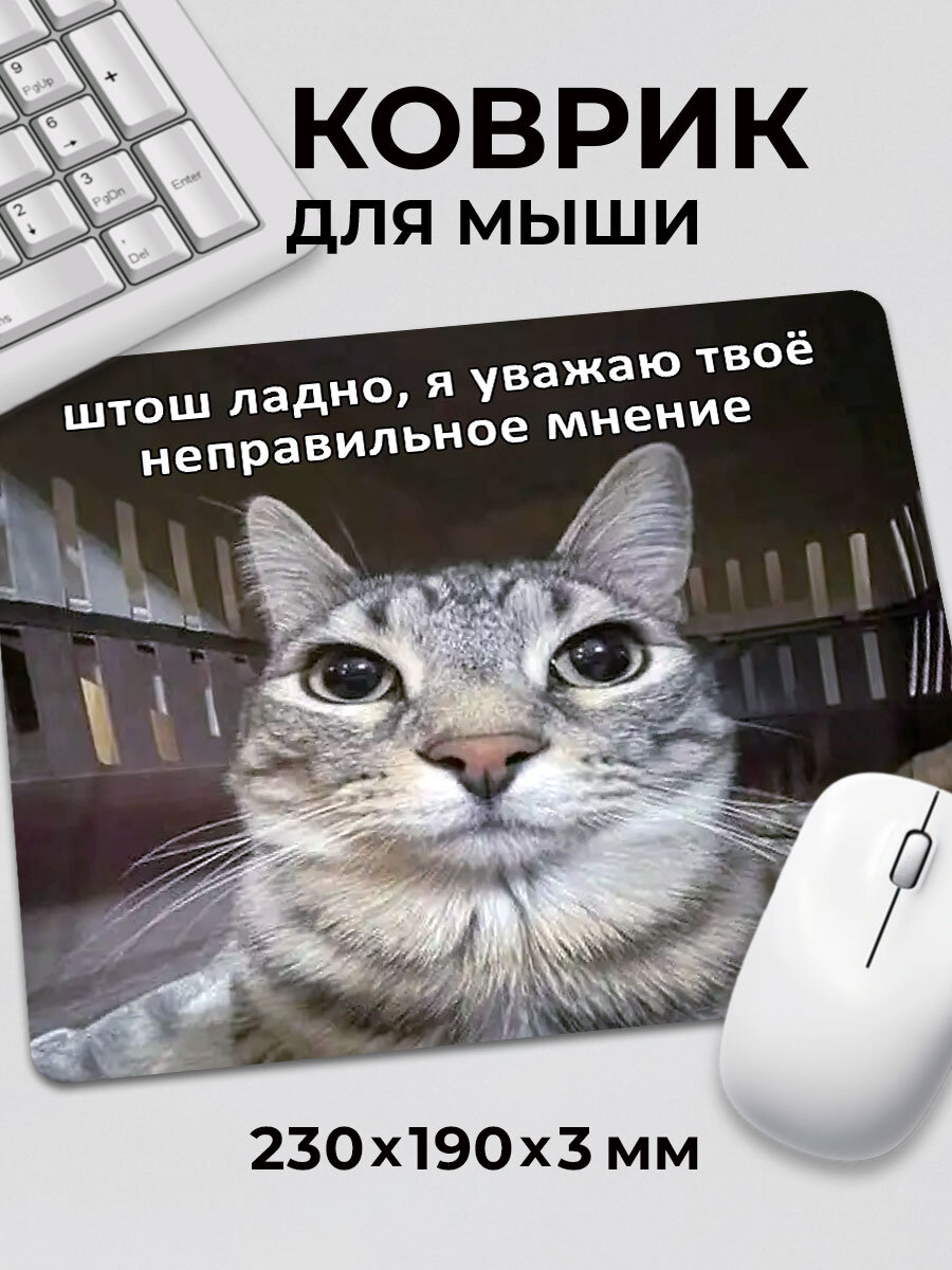 Коврик для мышки прикол мем Котик Штош ладно я уважаю твое