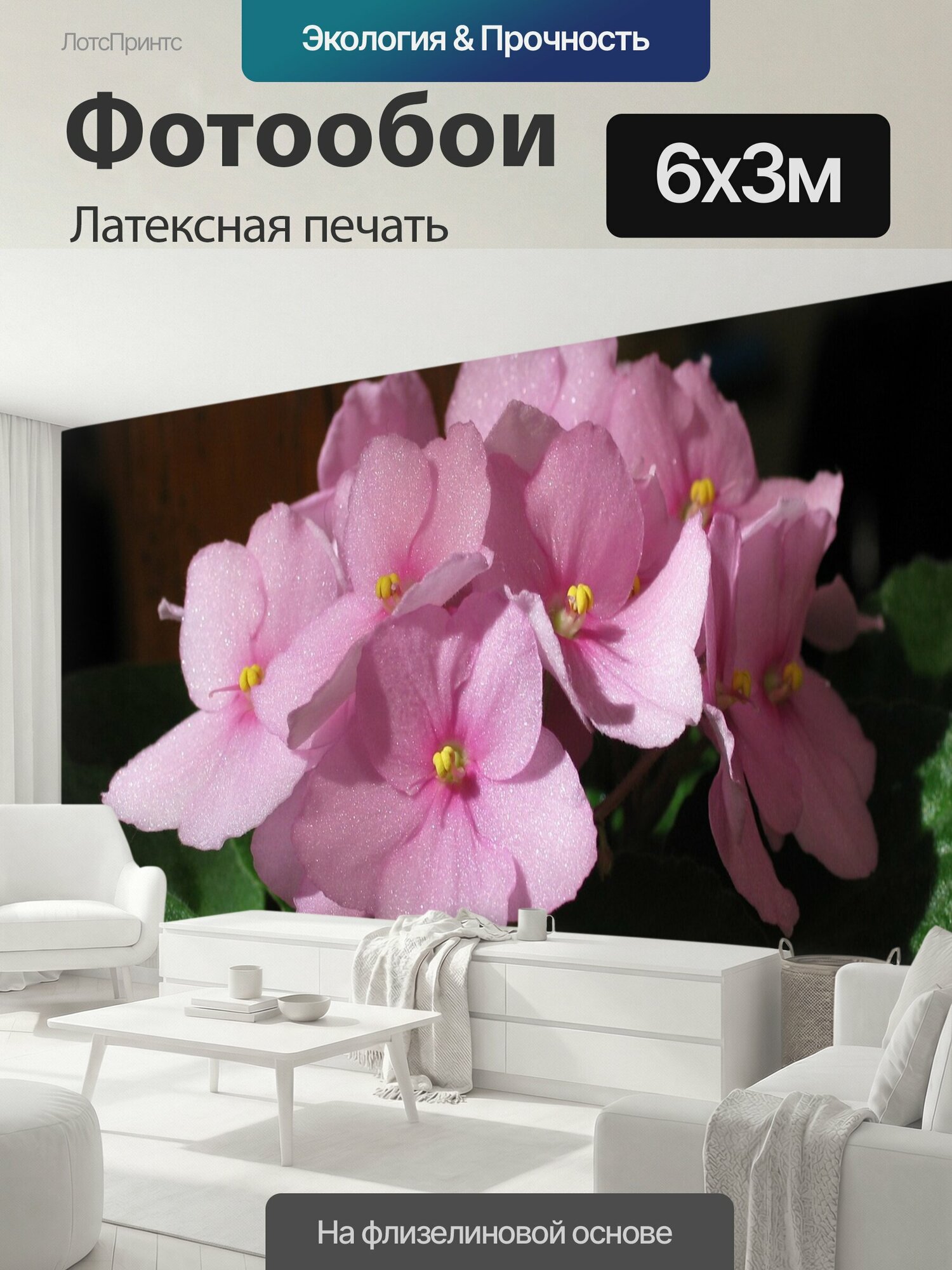 Фотообои моющиеся ударопрочные "Африканские фиалки, сенполия, цветок" 600x300 см. латексная печать