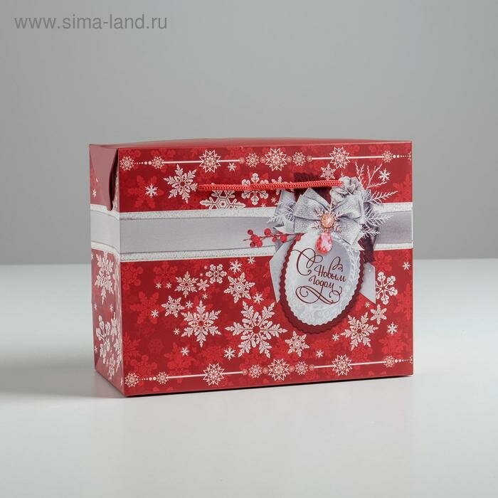 Пакет-коробка подарочный С Новым годом, 23×18×11 см, 2 шт.