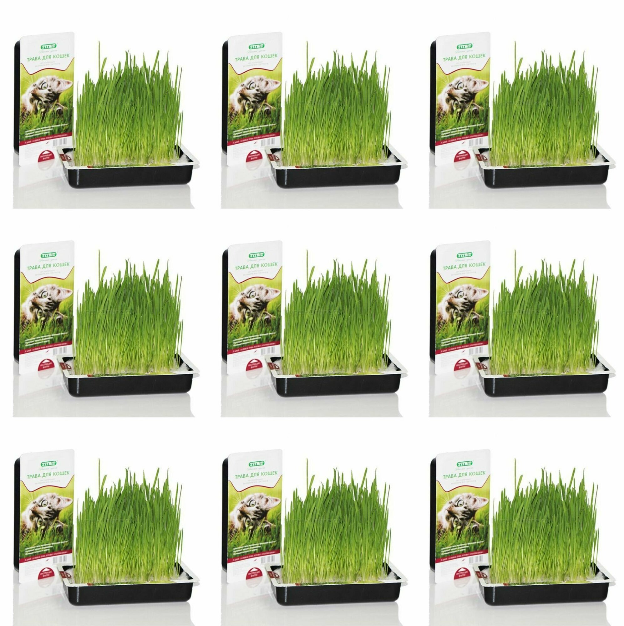 Titbit Трава для кошек,65 г,9 шт