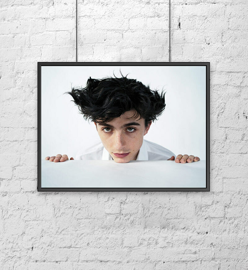 Горизонтальный постер для интерьера на стену (30х40 см). Актер Тимоти Шаламе (Timothee Chalamet)