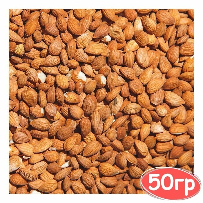 Абрикосовые косточки 50 гр, ядро абрикосовых косточек очищенные, Вегетарианский продукт, Vegan
