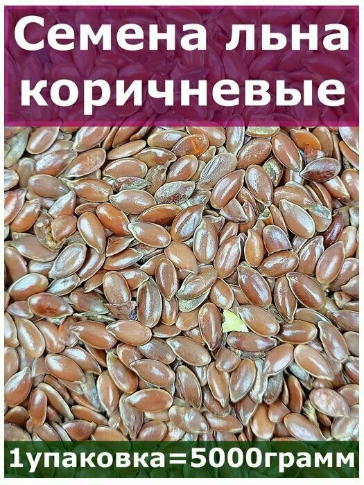 Семена льна коричневые, 5 кг, Вегетарианский продукт, Vegan