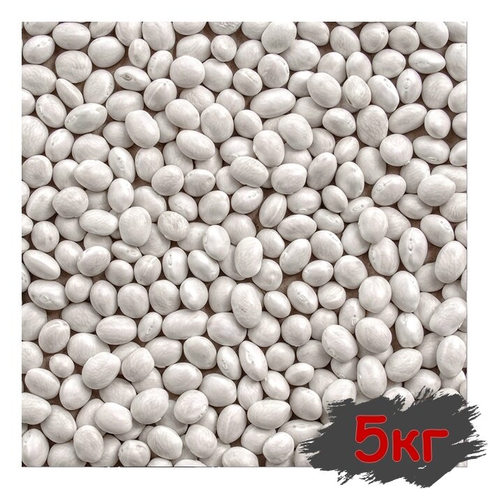 Фасоль Белая сахарная 5 000 гр, 5 кг, Фасоль белая, Фасоль очищенная натуральная, Вегетарианский продукт, Vegan