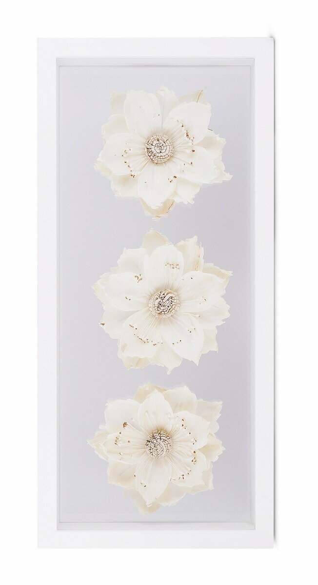 Панно настенное три цветка из сухоцветов с двойным стеклом и деревянной рамкой