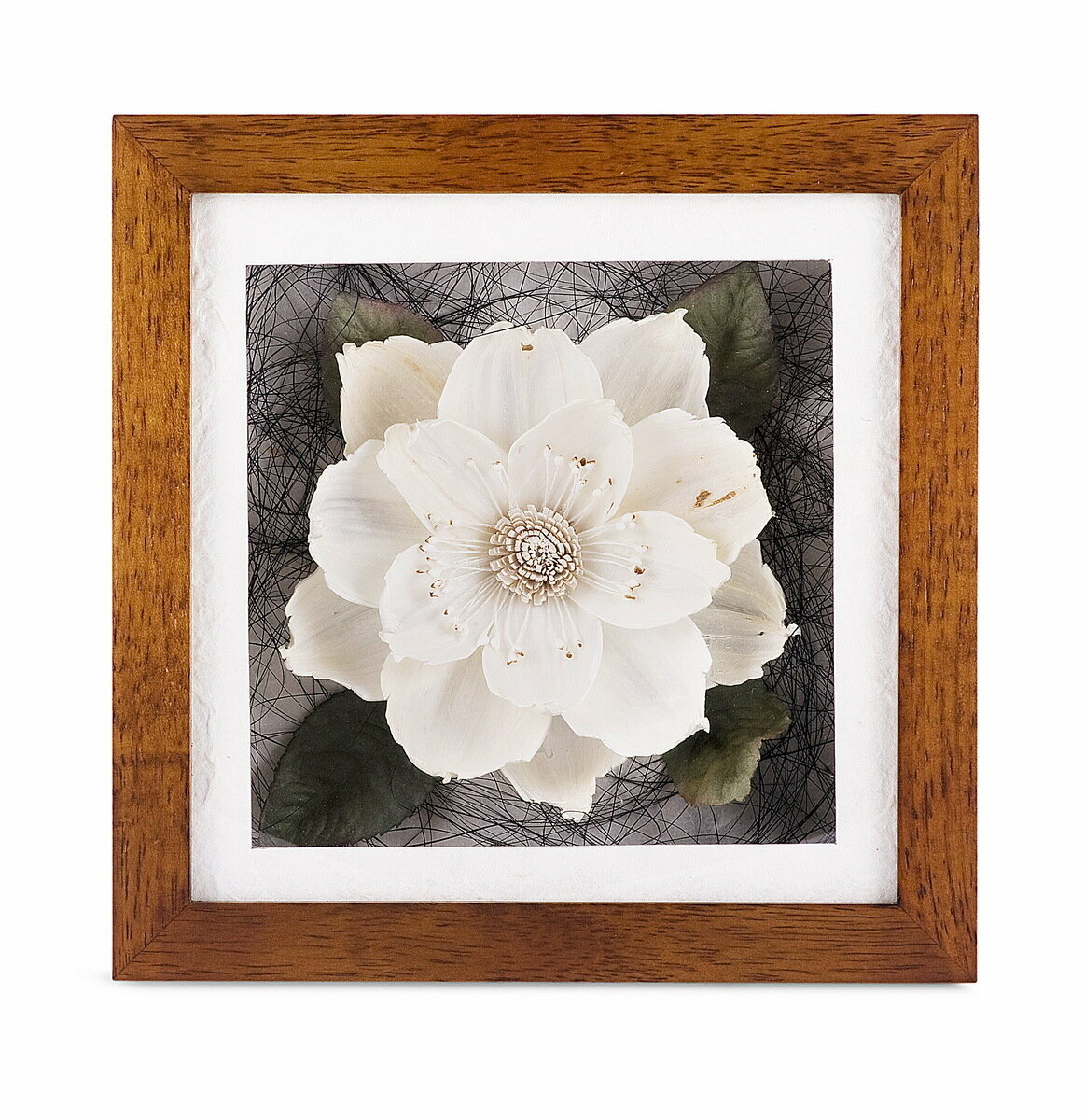 Панно настенное цветы из сухоцветов в деревянной рамке