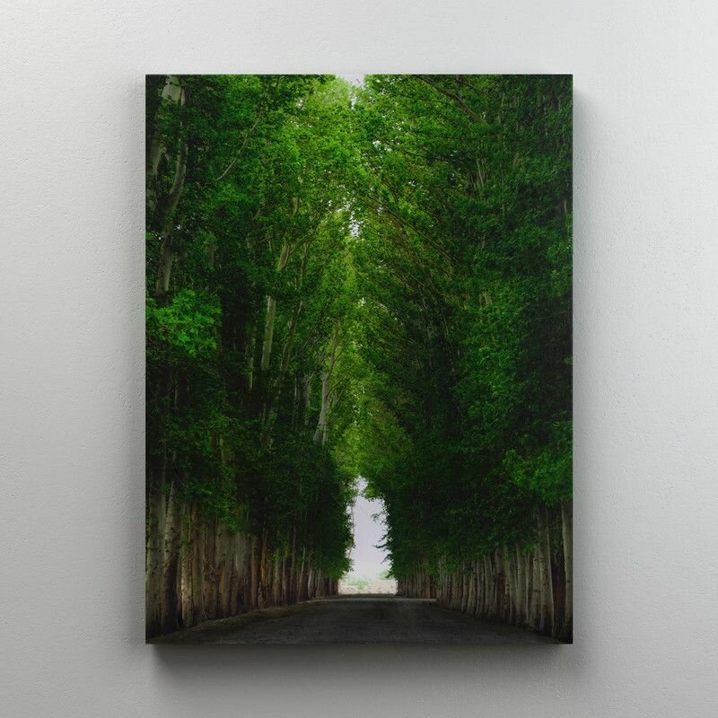 Интерьерная картина на холсте "дорога в зеленом лесу между деревьев" размер 45x60 см